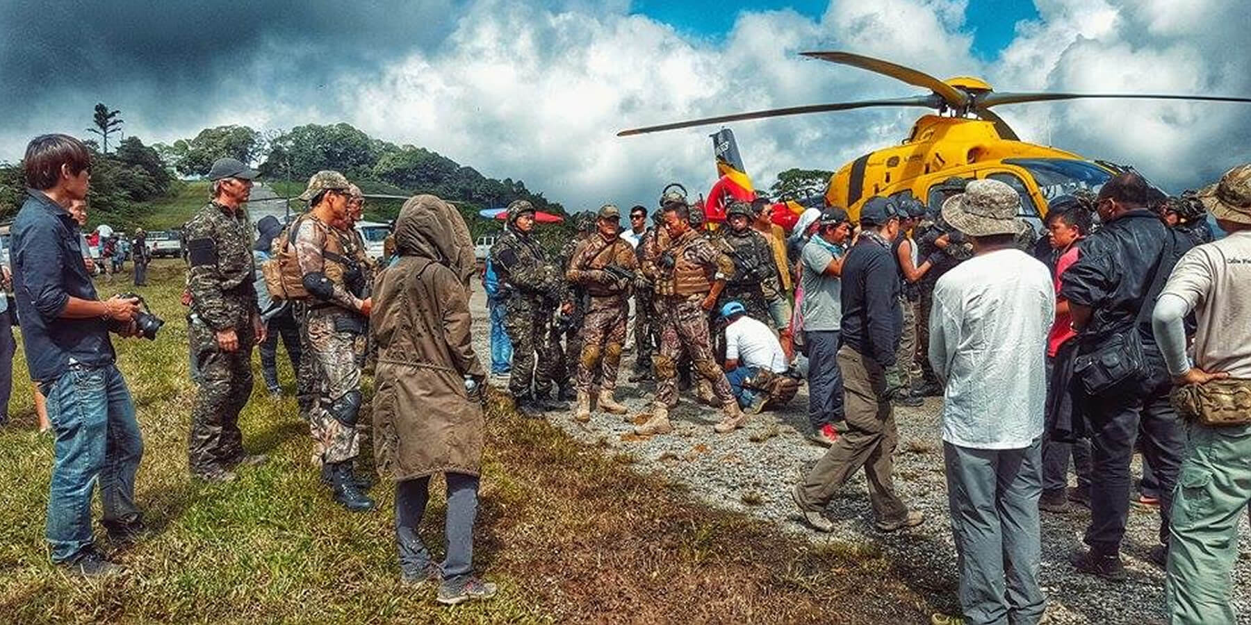 Instinct Animals for Film | Animal Actors & Wolves for Film