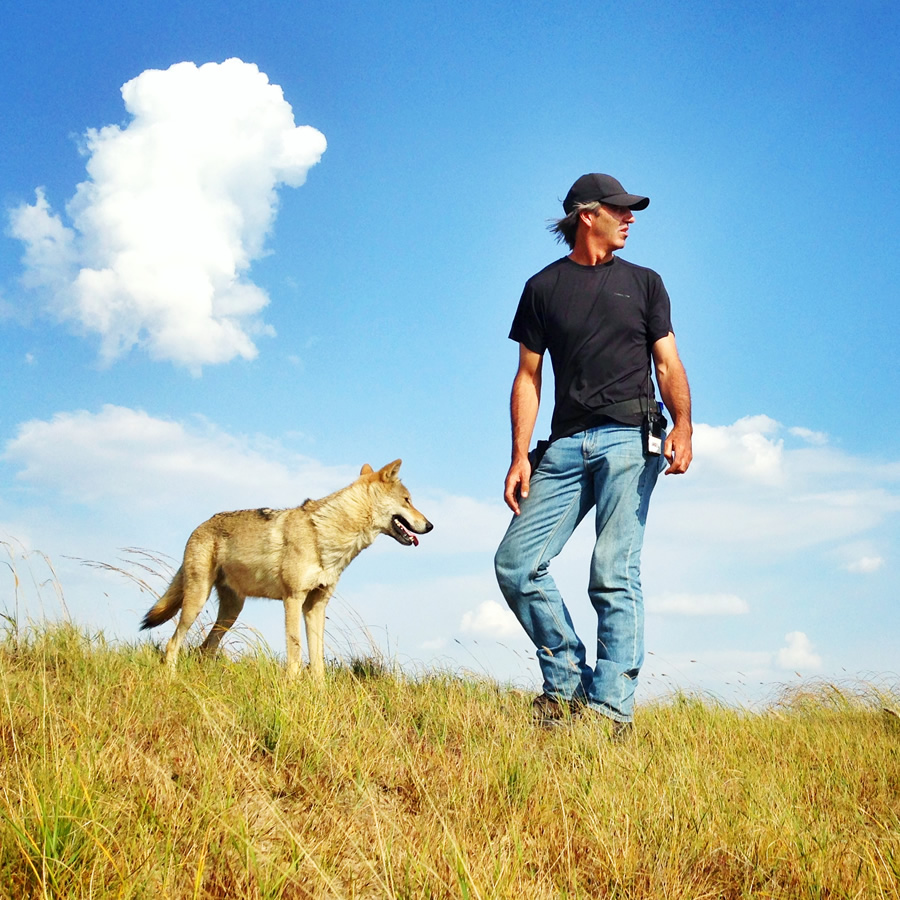 Instinct Animals for Film | Animal Actors & Wolves for Film