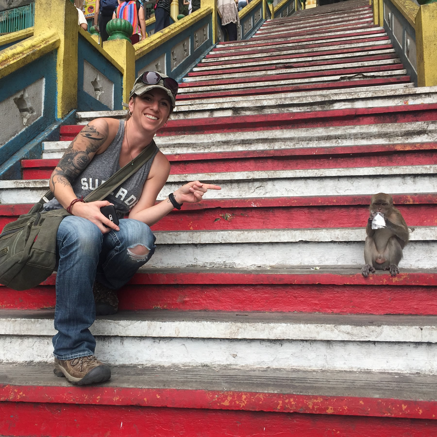 Instinct Animals for Film | Animal Actors & Wolves for Film