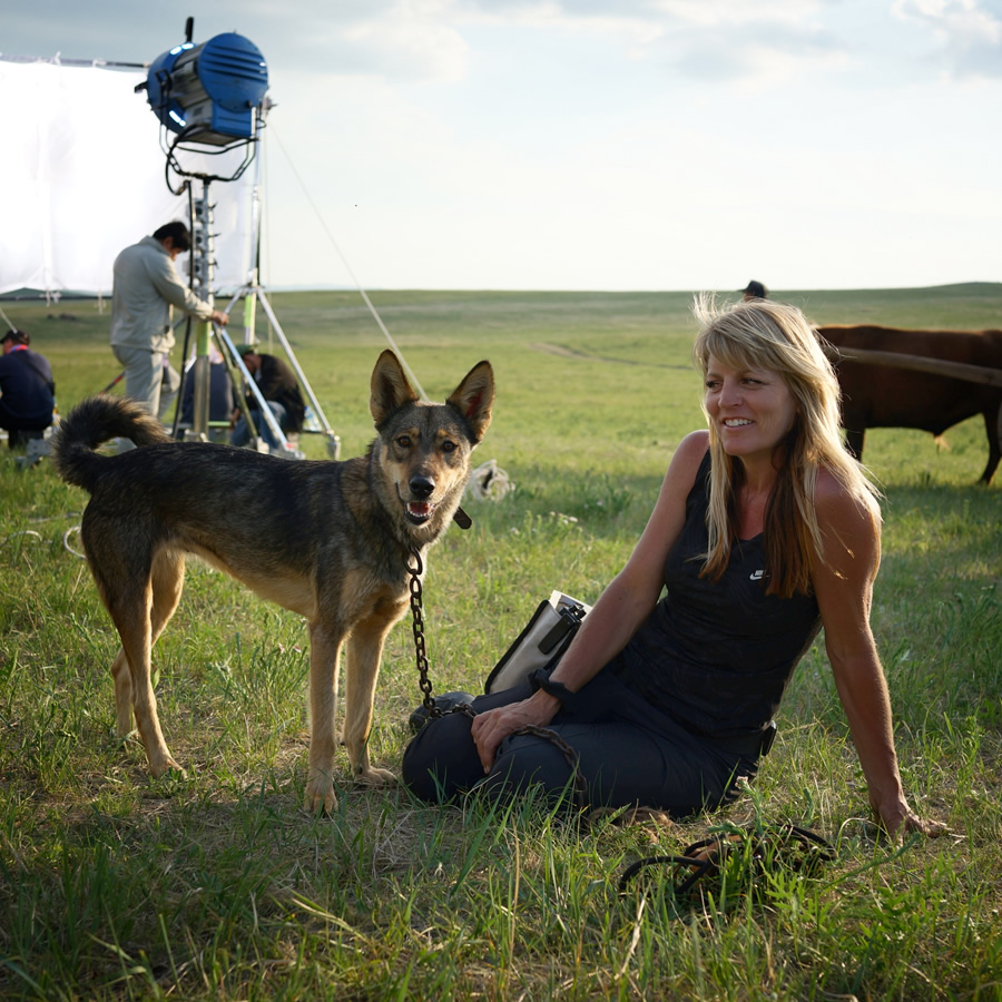 Instinct Animals for Film | Animal Actors & Wolves for Film