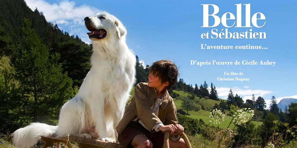 Instinct Animals for Film | Animal Actors & Wolves for Film